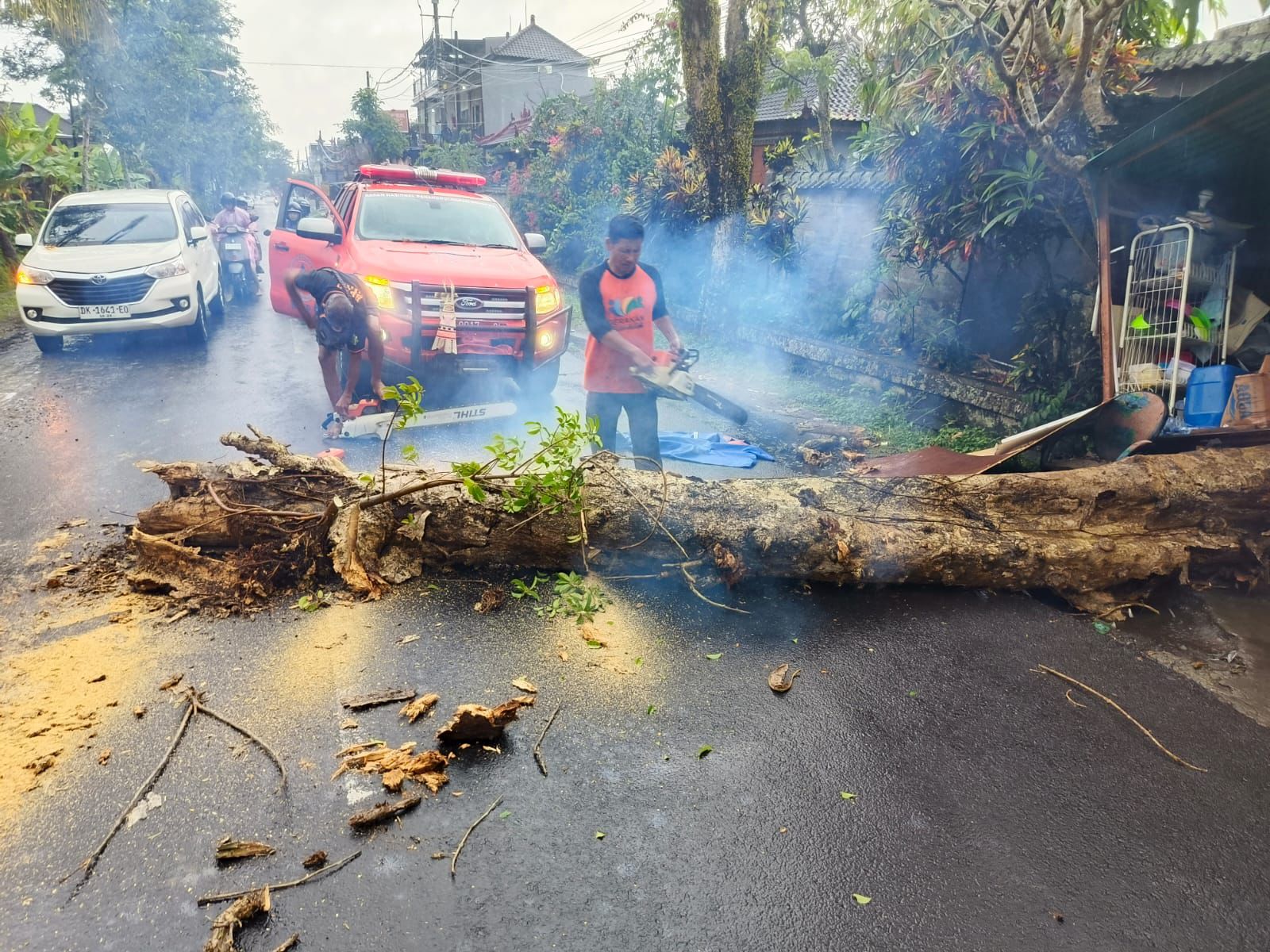 BPBD Tabanan Tangani Pohon Tumbang di Terminal Tuakilang - Media Bali News